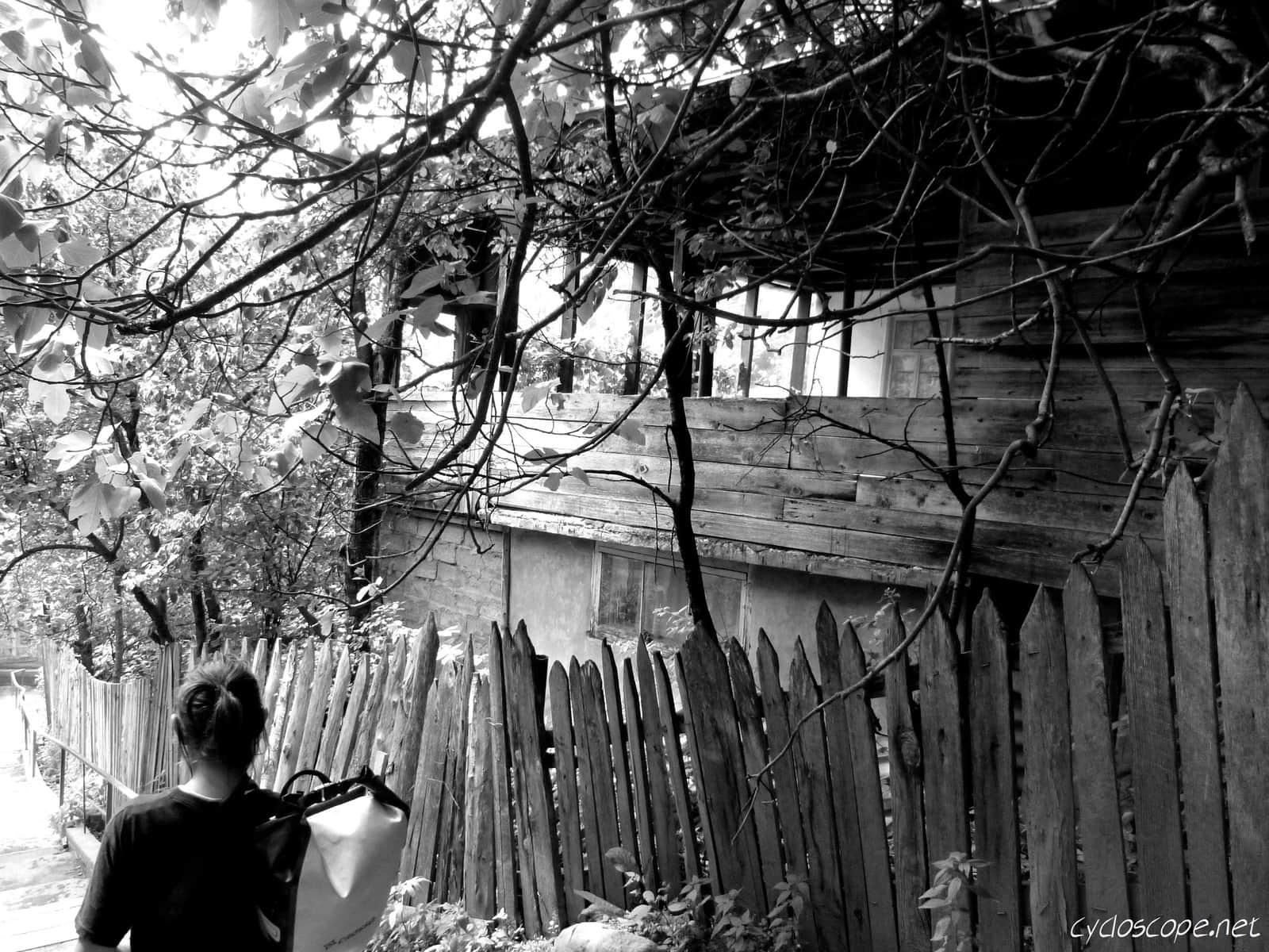 History of Svan people and how they could disappear. Khudoni hydropower ...