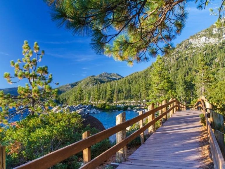 9 Best MTB Trails in Northern California