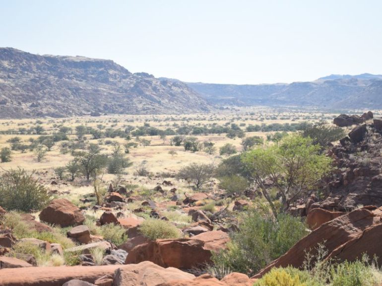 The 280 Million Years Old Petrified Forest of Namibia