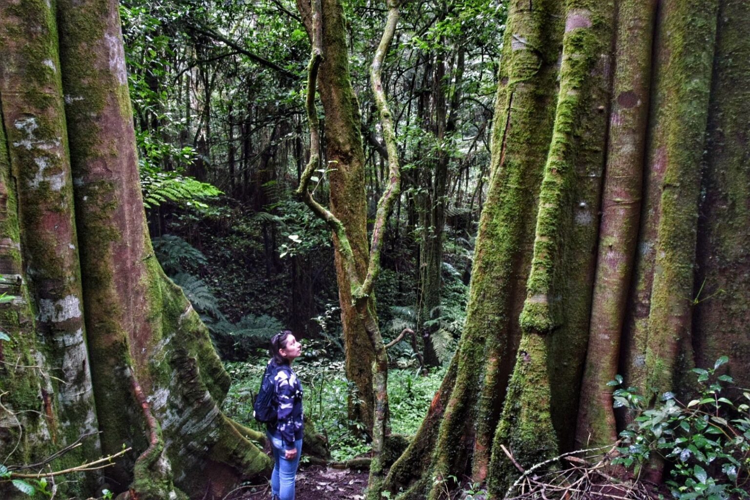 12 Reasons to Visit Africa: Why Traveling To Africa Is A Great Idea