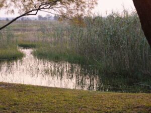 The 7 Best Campsites in Namibia - a Guide to Sleep Under the Most ...