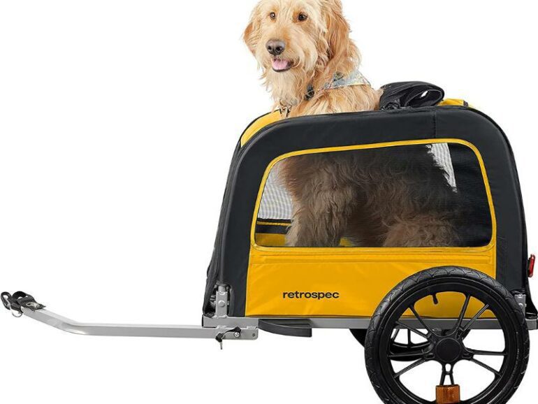 8 Best Bike Trailers for Dogs, Large and Small
