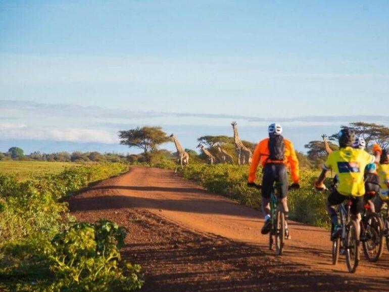 Cycling Safari: the best destinations to see the Big Five