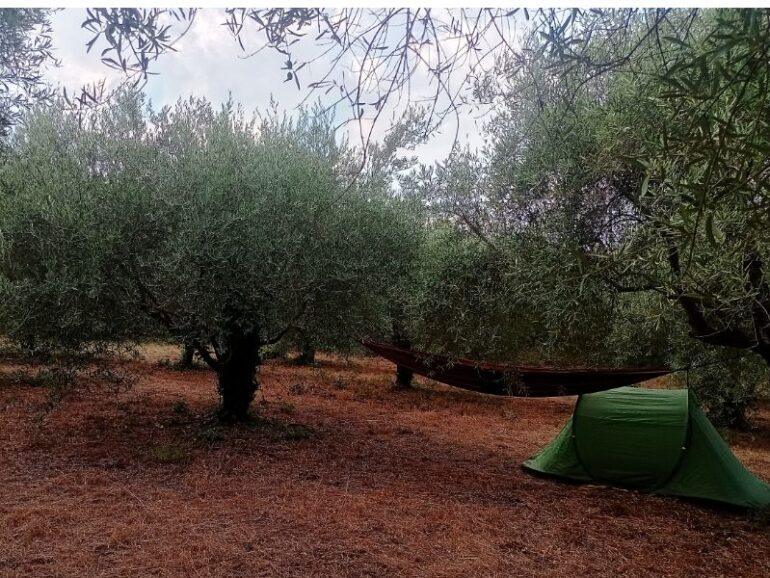 Bikepacking Sicily: Nebrodi Park, Argimusco Megaliths + Alcantara Gorge